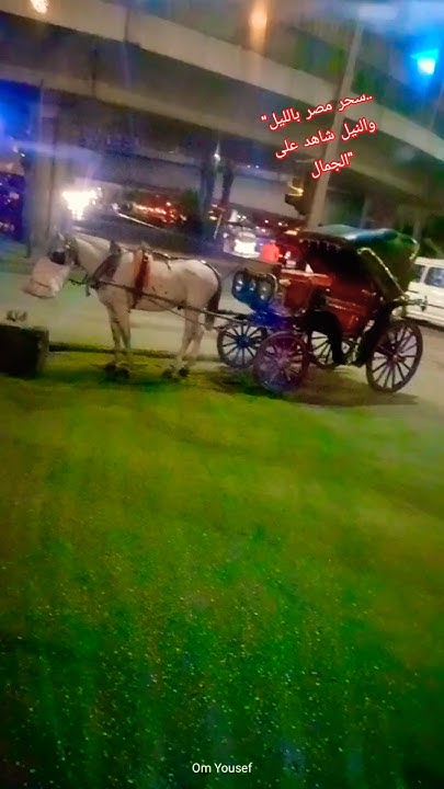 "سحر مصر بالليل.. والنيل شاهد على الجمال" - YouTube