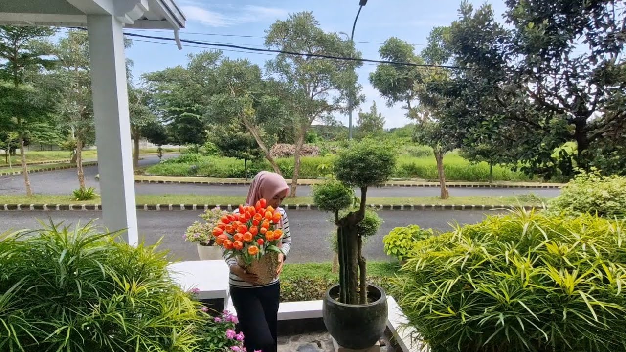 Menata pot bunga tulip orange di ruang tamu rumah @MamaCelin di ...