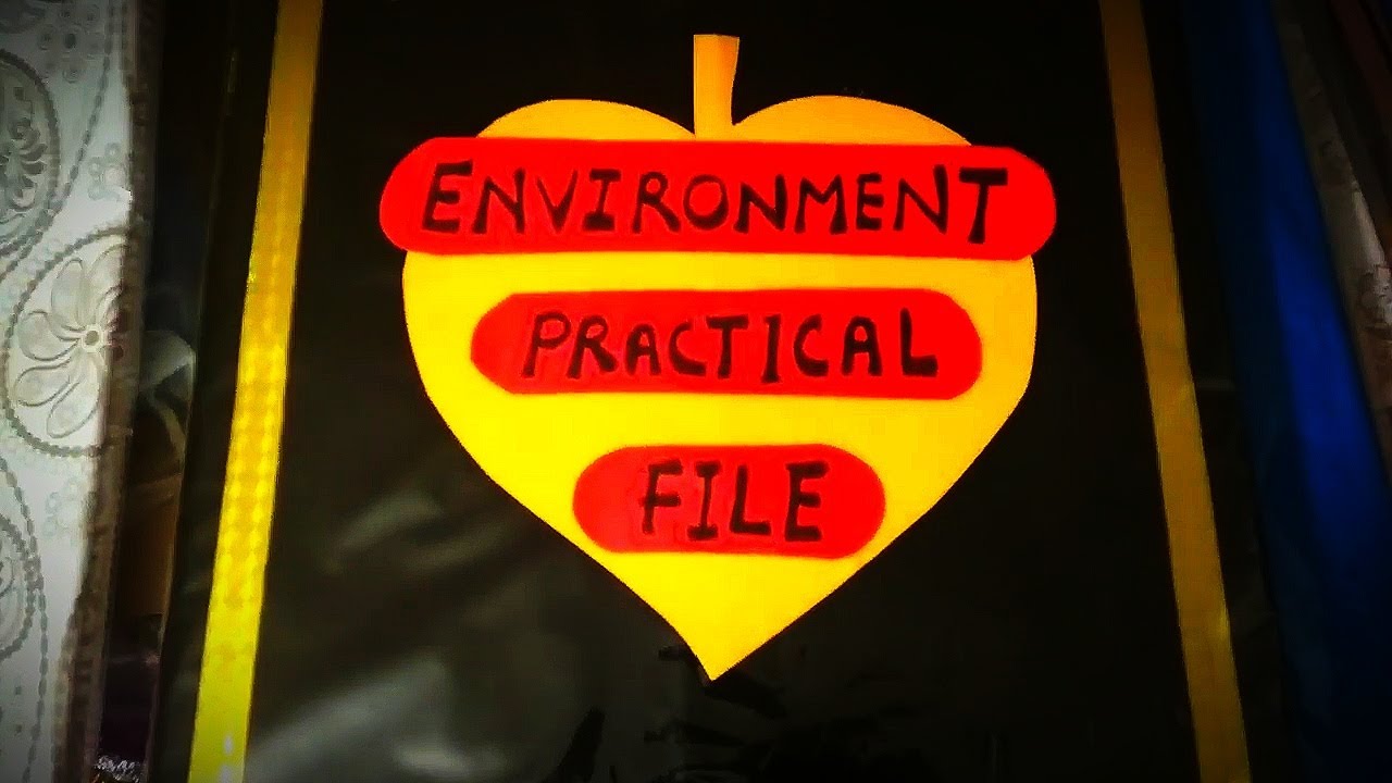 Class 12 EVS Project File How To Make EVS Project File YouTube class-12-evs-project-file-how-to-make-evs-project-file-youtube