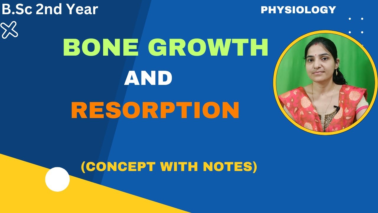 Bone Growth And Resorption B.Sc 2nd Year||Bone resorption by osteoclast ...