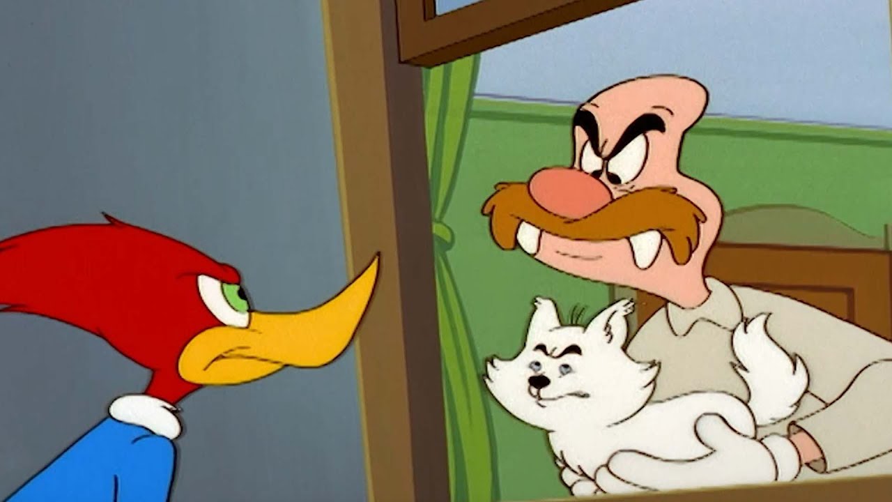 El perro prefiere a Wally que al Pájaro! | El Pájaro Loco - YouTube