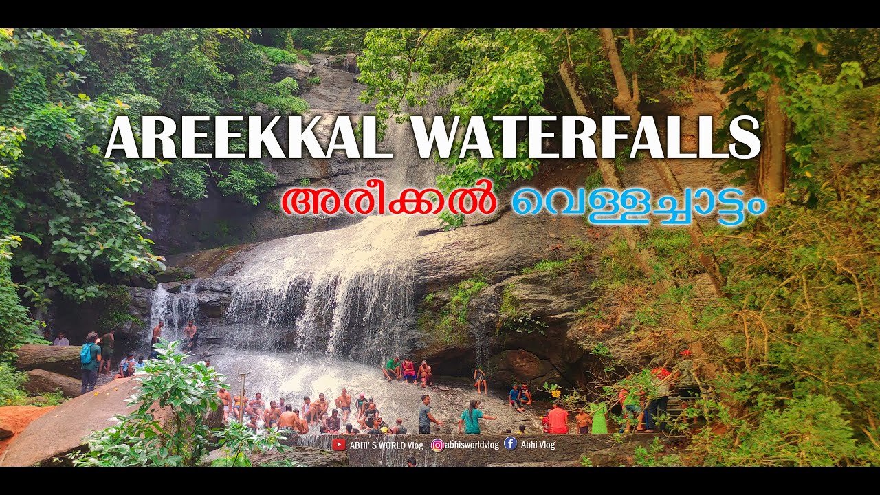 AREEKKAL WATERFALLS || കൊച്ചി യിൽ നിന്നും മഴകാലത്ത് One day Trip പോകാ ...