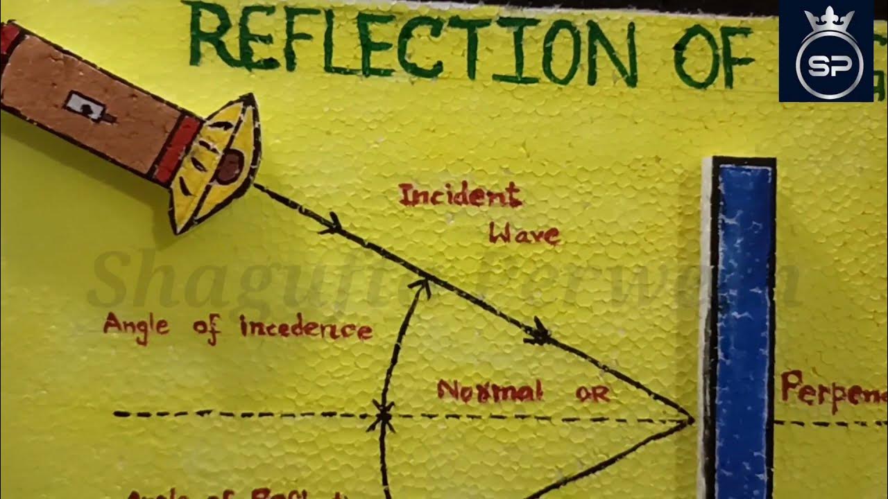 Reflection of light | Science model and Project | TLM - YouTube