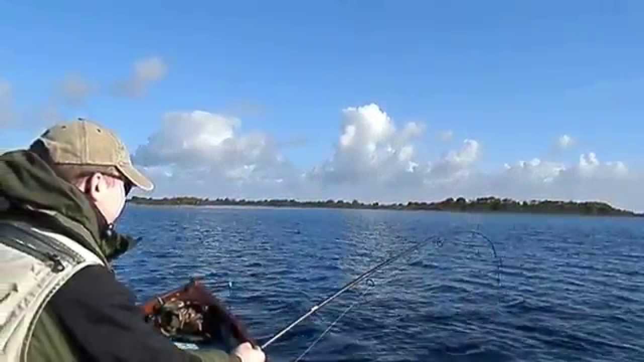 Pike on Trolling Rig. - YouTube