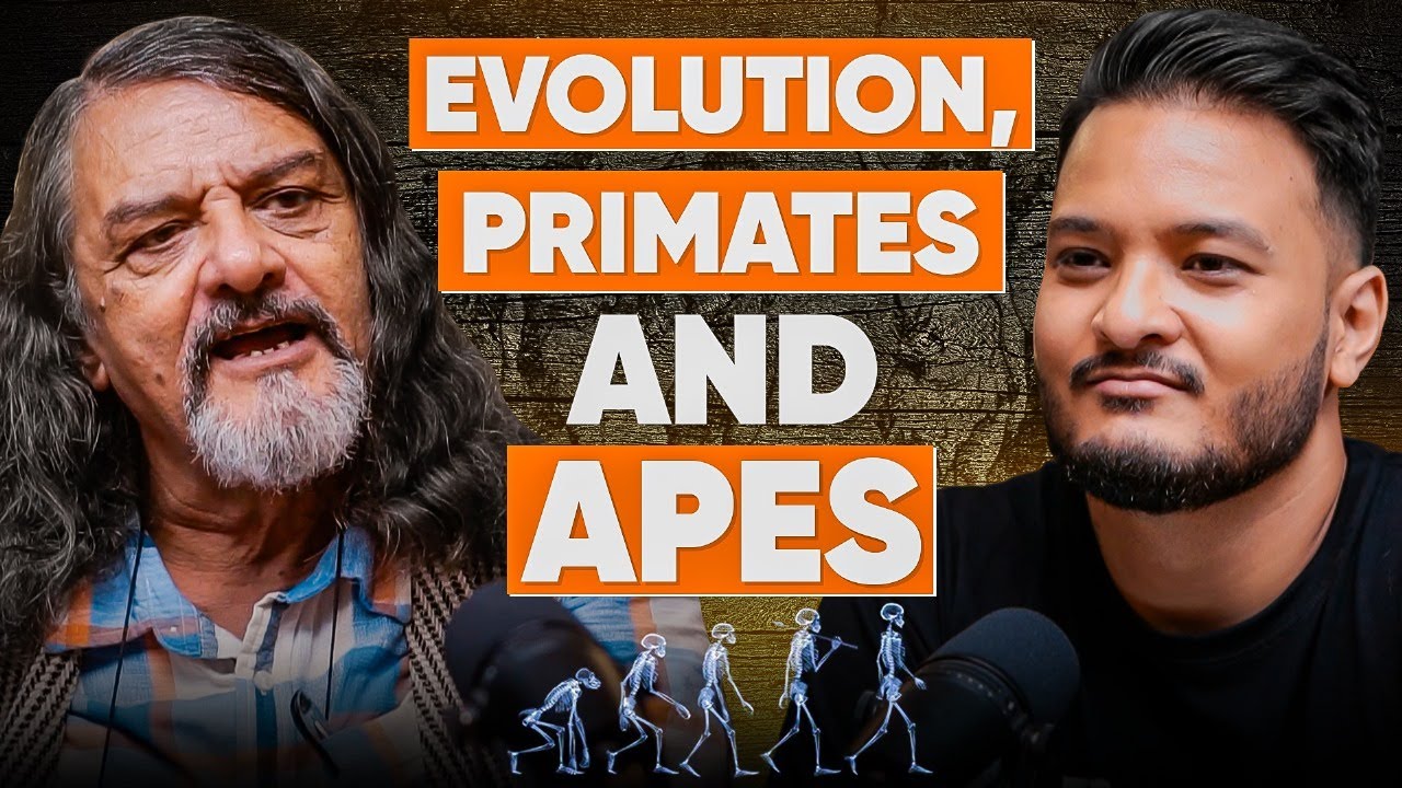 Evolution, Primates, and Apes: Origins of Human Evolution Explained ...