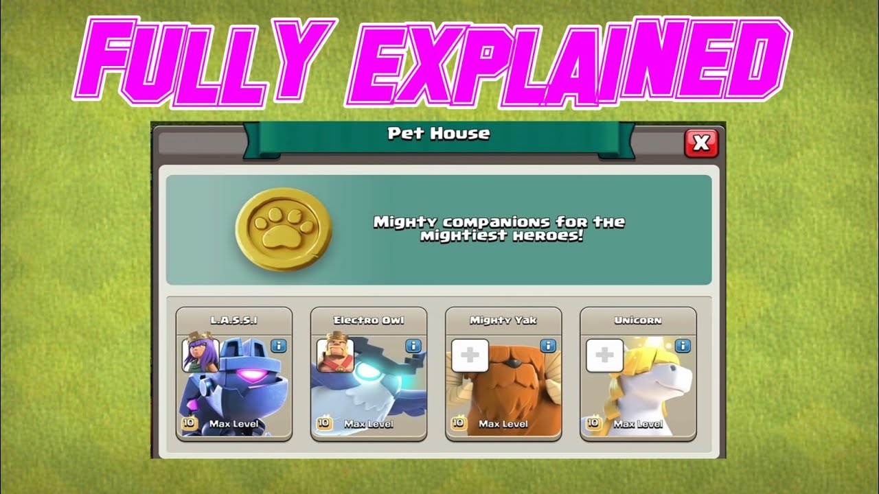 Clash pet's Fully Explained In Clash Of Clans - COC - YouTube