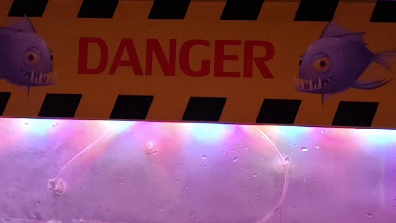 sticker aquarium predator ready di tokopedia - YouTube