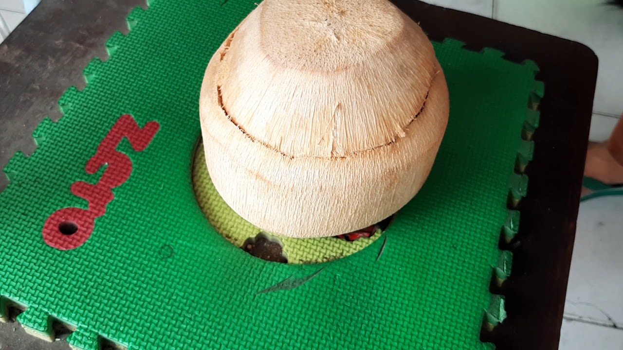 Tutorial cara stamp emboss kelapa muda coconut stamping 085732536020 ...