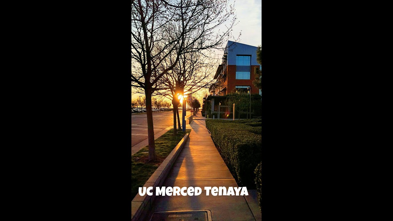 University of California, Merced Dorm The Summits Tenaya - YouTube