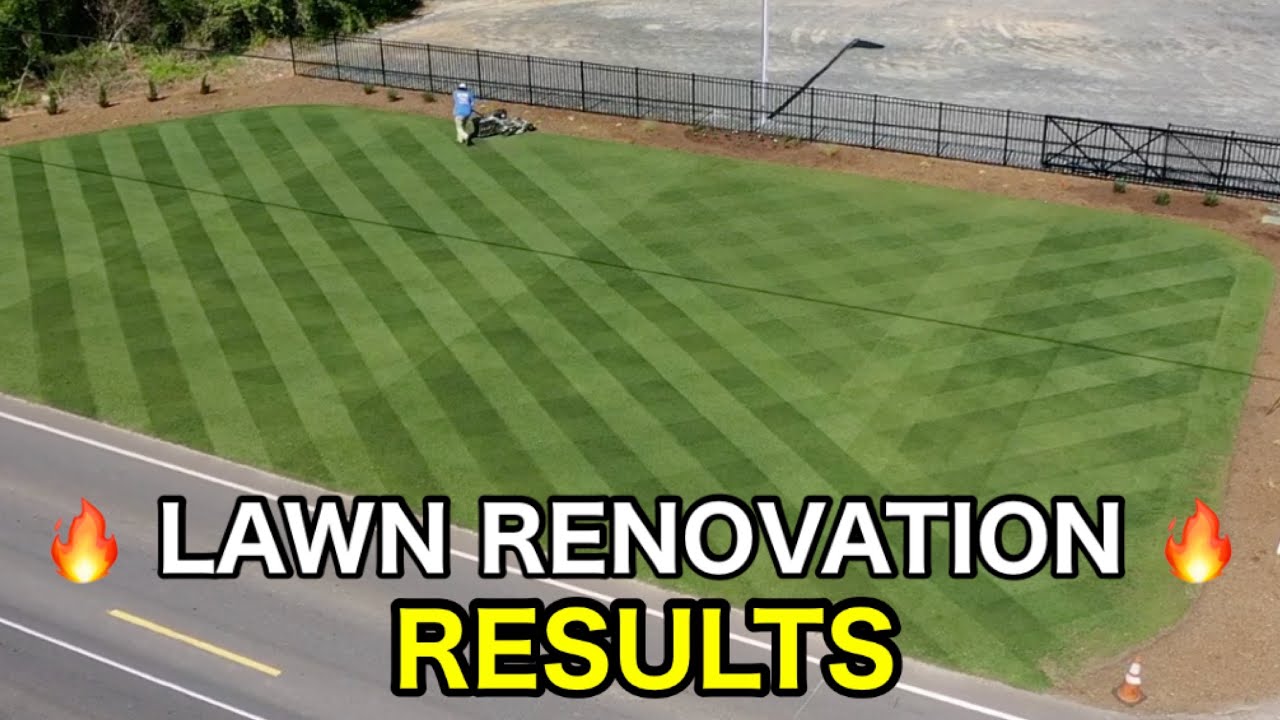 Before and After Lawn Renovation Results Two Years in the Making - YouTube