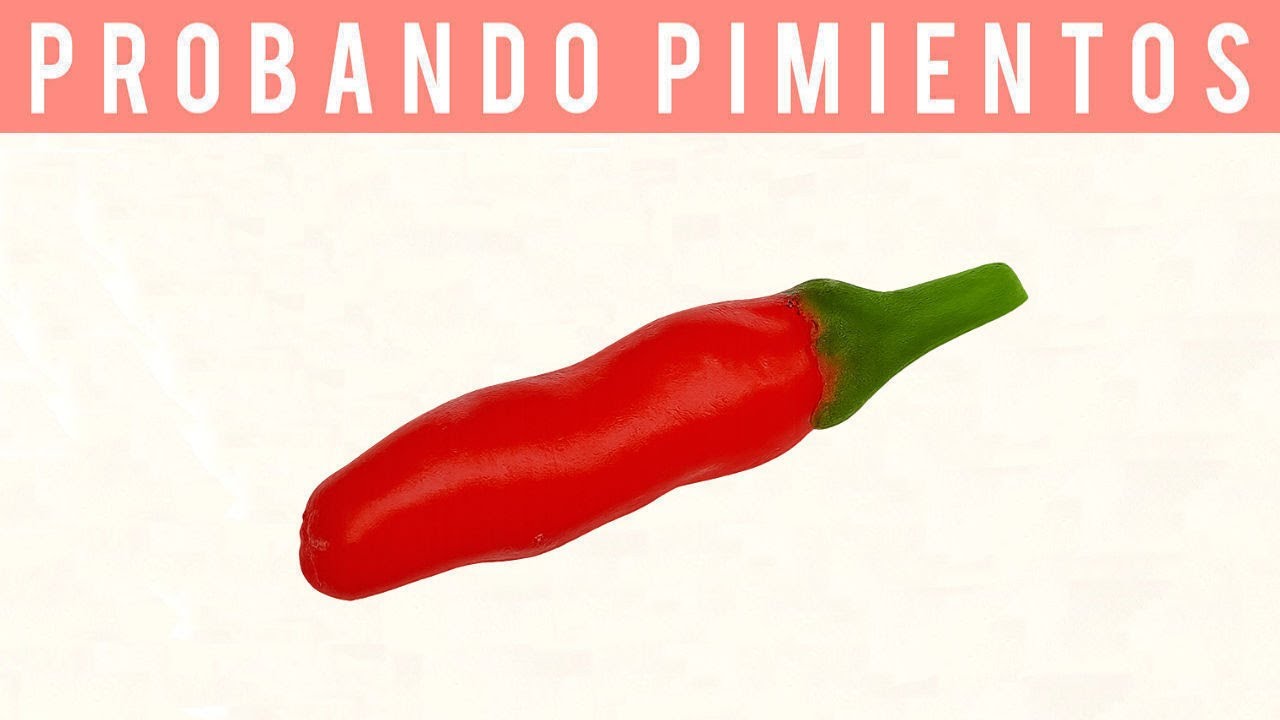 ⚪🌶️ Probando AJÍ PIPÍ de MONO | Tasting “Pipí de Mono” Chili Pepper ...