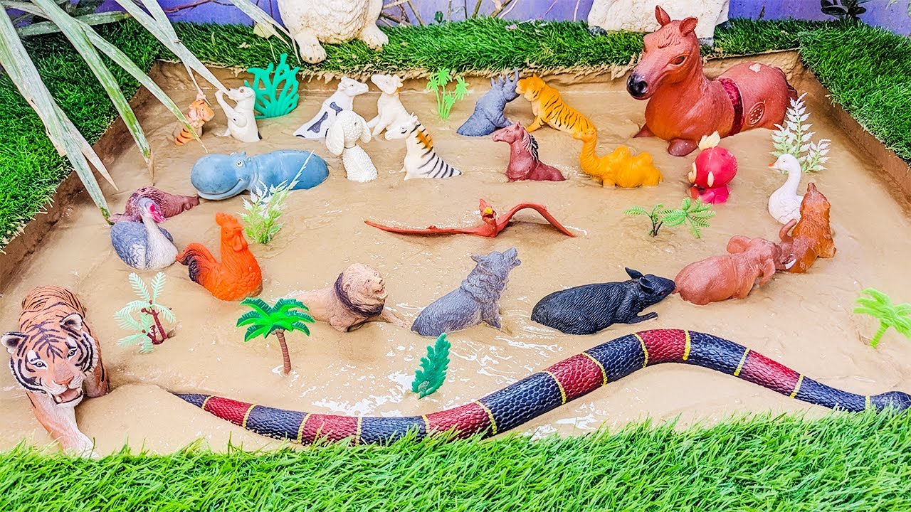 Big Snake Stuck In Sandbox 2 Big Wild Animals Stuck In Mud Rat Morning ...