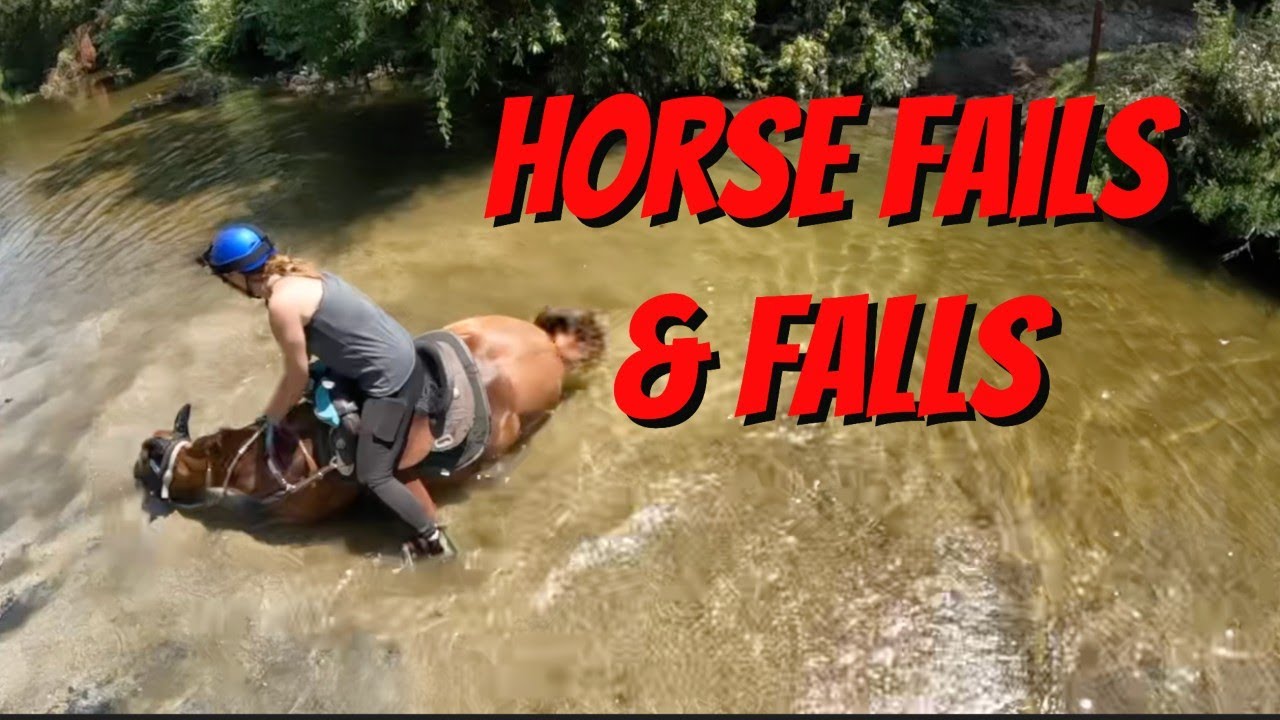 Unforgettable Horse Fails Caught on Camera! - YouTube