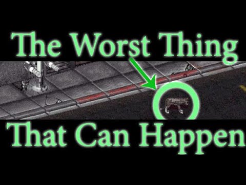 Fallout 2 - The Bad Luck Dog - Pariah Dog - YouTube