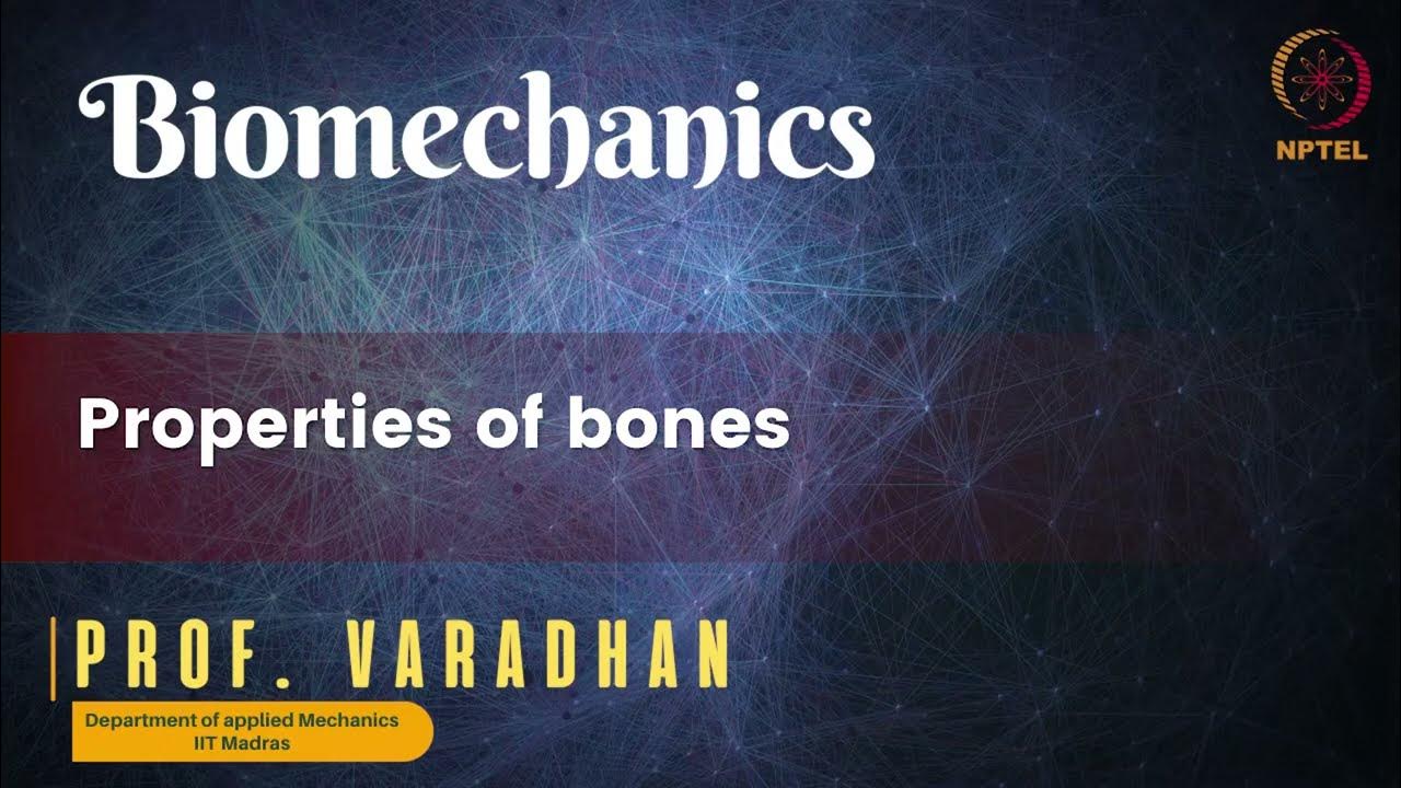 Properties Of Bones YouTube properties-of-bones-youtube