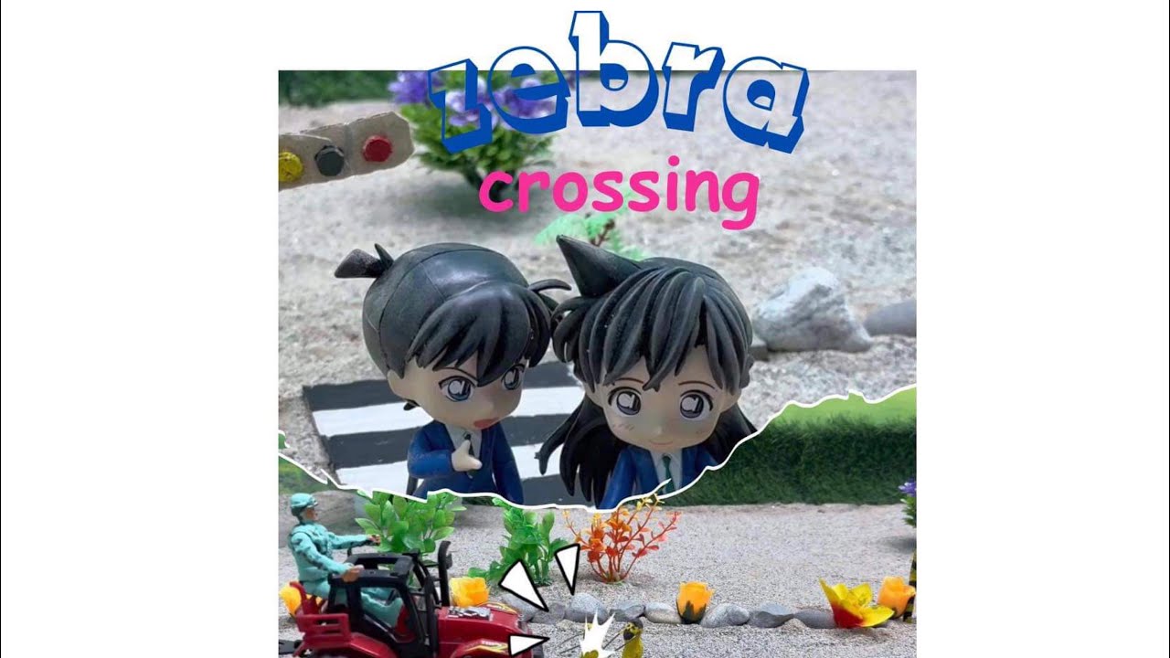 Awareness 01: Always use Zebra Crossing - YouTube