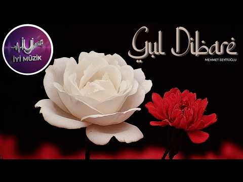 Mehmet Seyitoğlu - Gül Dıbare (İlahi)