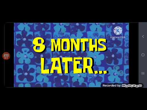 8 Months Later... - Spongebob Time Cards - YouTube