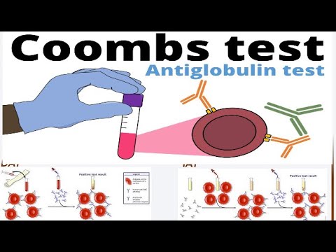 DIRECT vs INDIRECT COOMBS TEST - YouTube