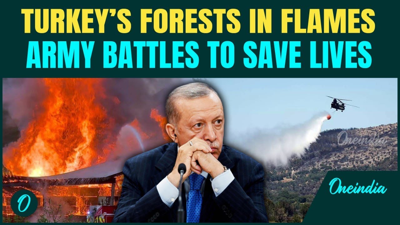Turkey BURNS As MASSIVE Fire Tears Through Sakarya Mountains | 100 ...
