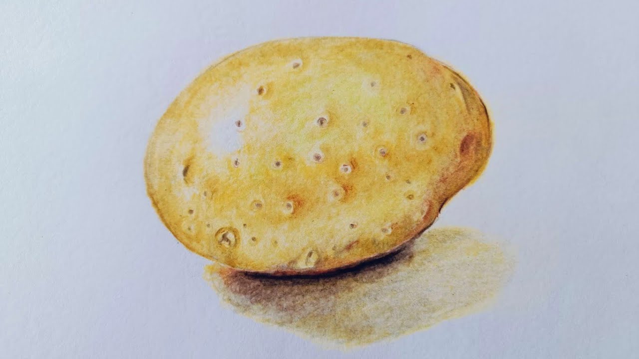 Potato Drawing II Using Colour Pencil II Pencil Colour Drawing - YouTube