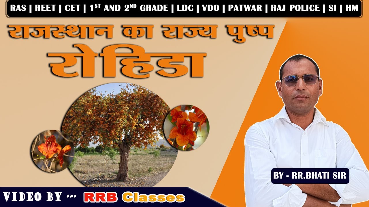 RAJASTHAN KA RAJYA PUSHP ROHIDA राजस्थान का राज्य पुष्प रोहिड़ा #reet # ...