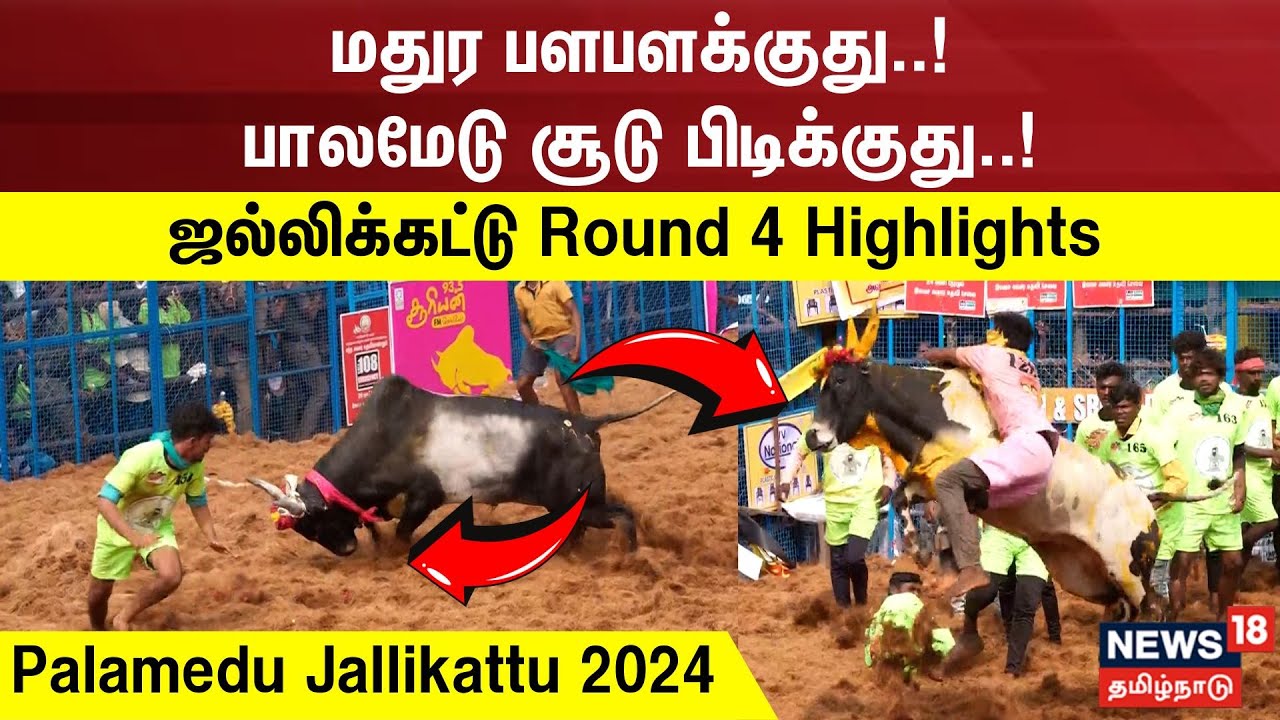 மதுர பளபளக்குது.. பாலமேடு ஜல்லிக்கட்டு சூடு பிடிக்குது - காளைகள் vs ...