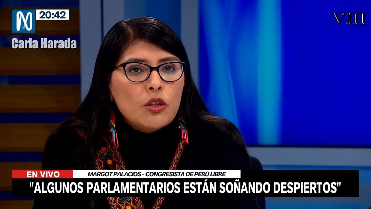 Margot Palacios, congresista de Perú Libre, habla sobre la coyuntura ...