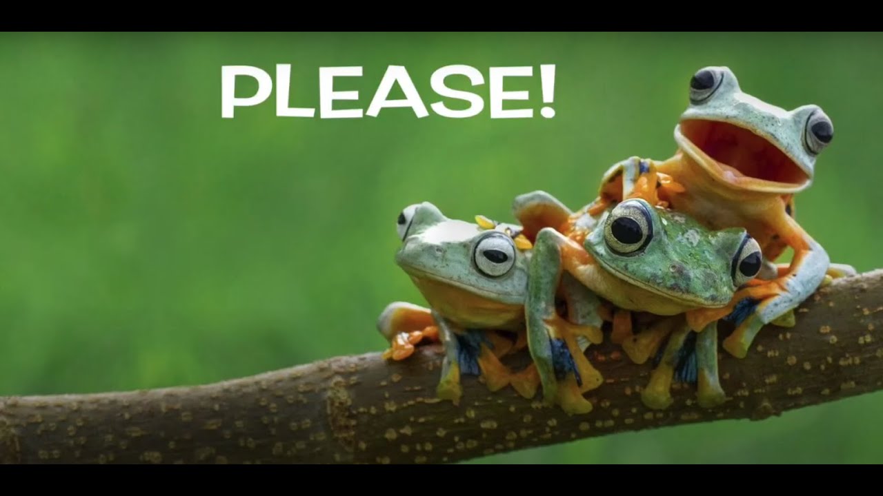 Green, Please! by Judy Lea #KidsMusic #WaterIsLife #EarthSongs #GreenEd ...