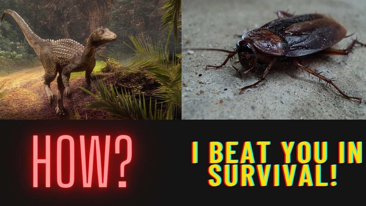 How did cockroaches survive the asteroid that led to the extinction of ...