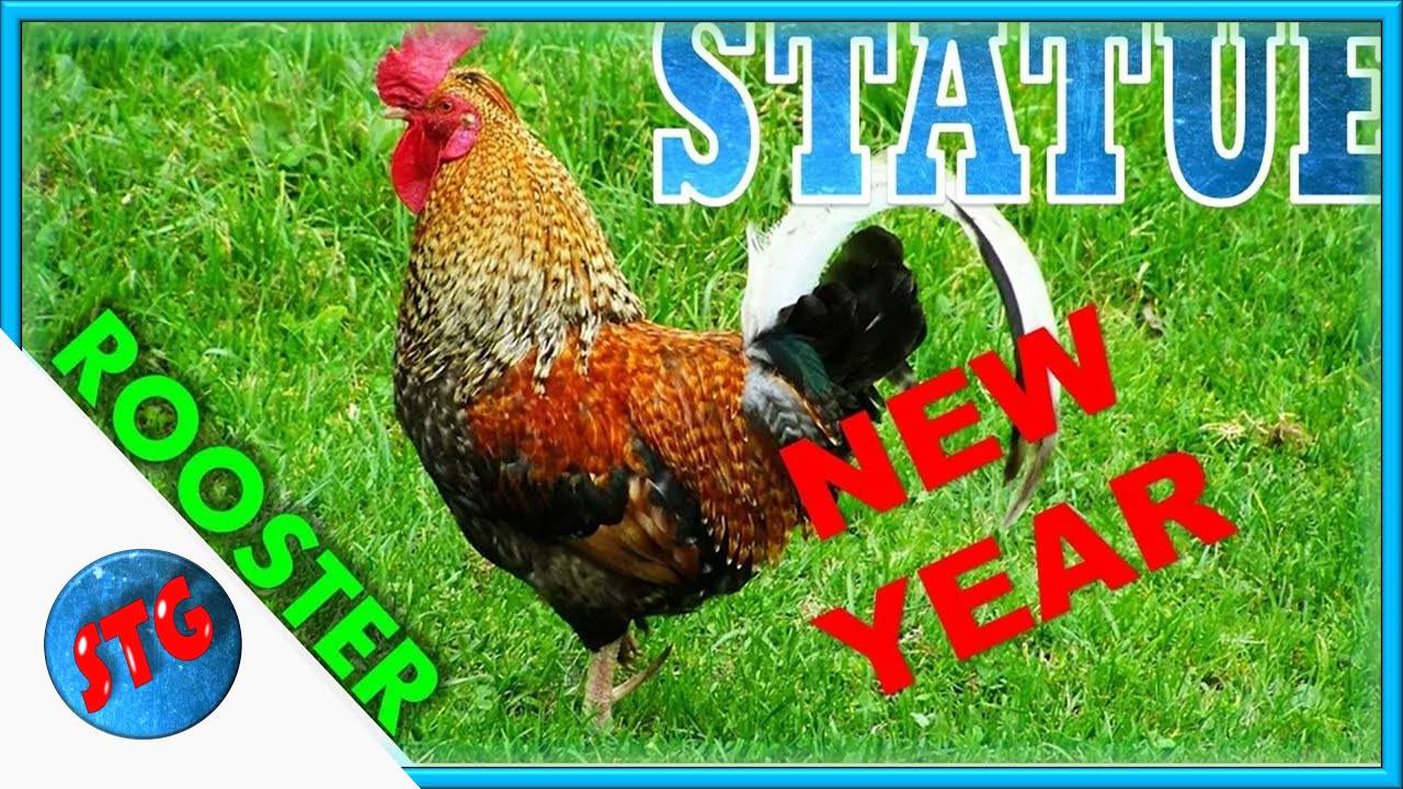 Rooster clay sculpture review || Nature & Animals #2 - YouTube