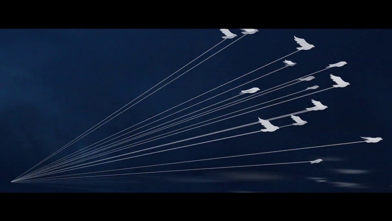 Tasha Hohaia -MANU [Official Video] - YouTube
