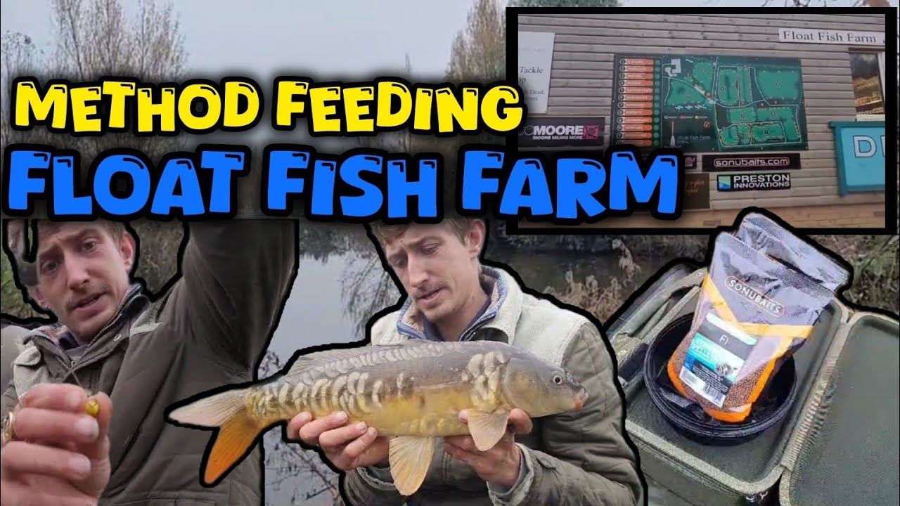 METHOD FEEDING AT FLOAT FISH FARM - YouTube