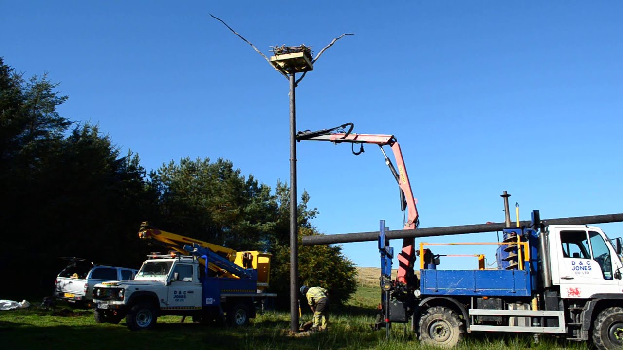 Osprey Pole Nest Going Up! - Project Operation Jimmy - YouTube