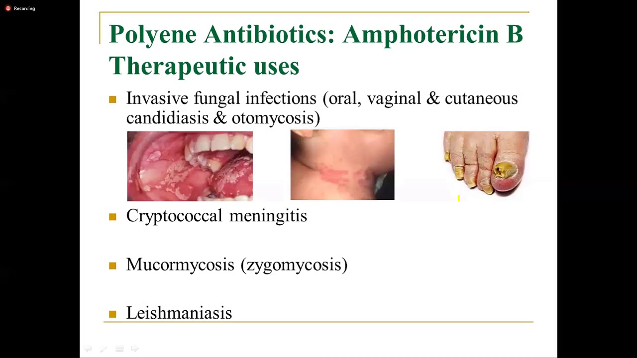 Polyene Antibiotics - YouTube