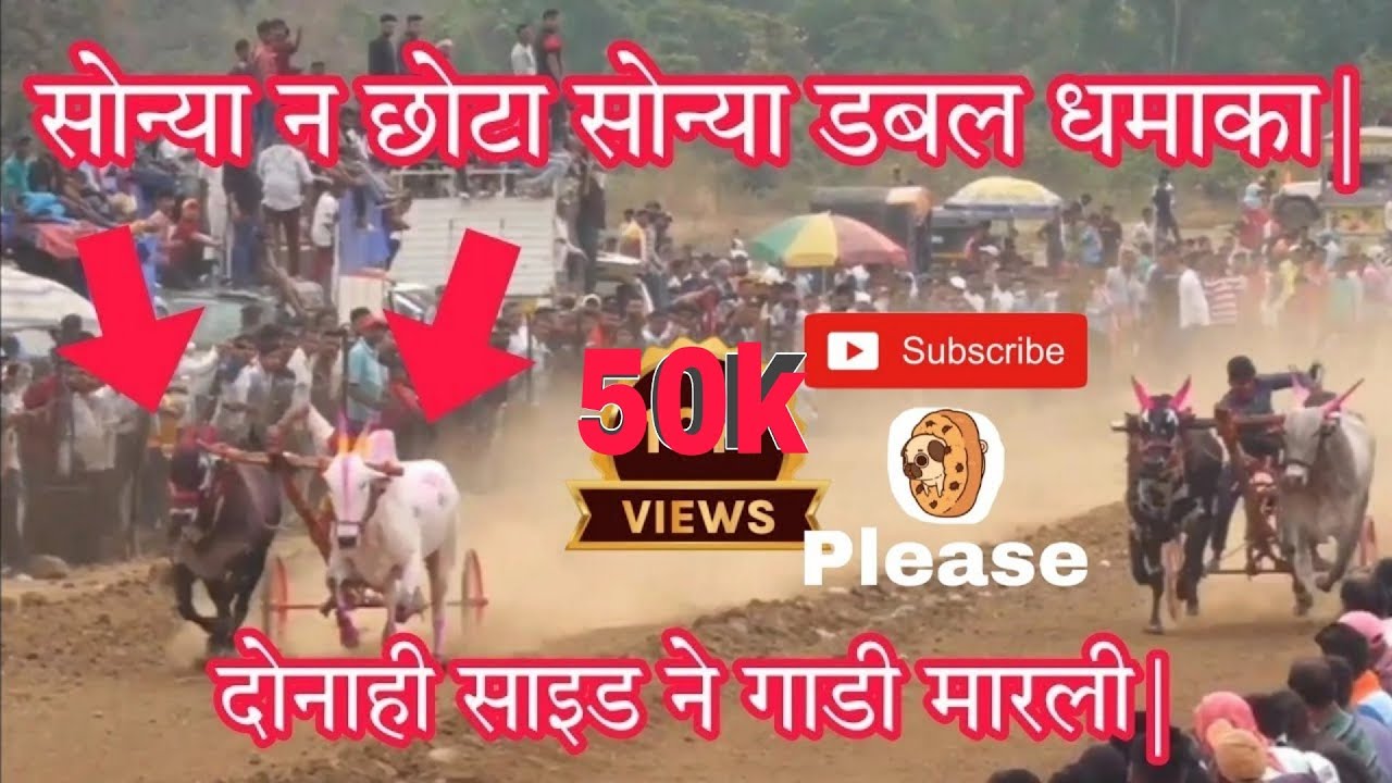 Chota Sonya 5050 bail sharyat |#bailgada #shorts - YouTube