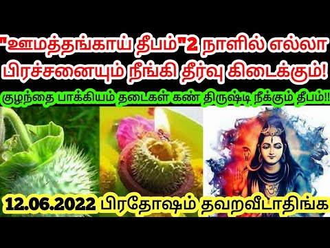 umathangai deepam| thadaigal neenga| "ஊமத்தங்காய் தீபம்"| vayalnandu ...
