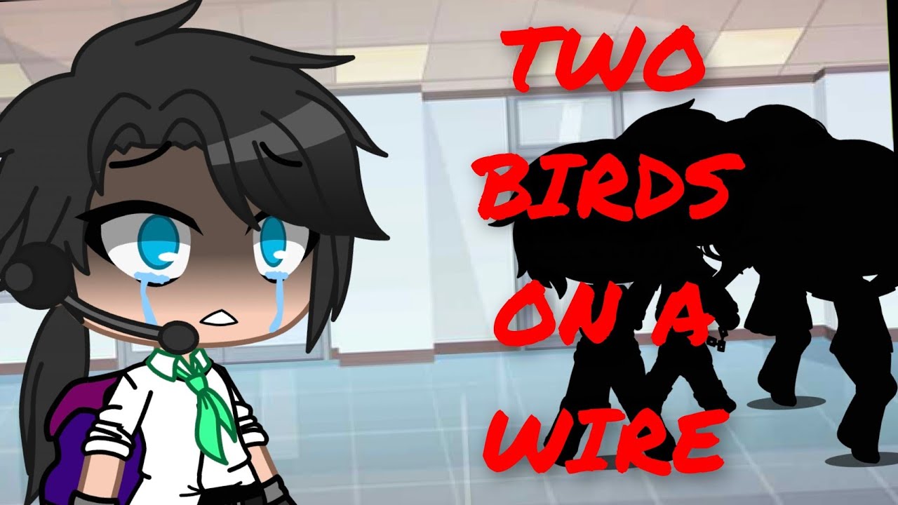 TWO BIRDS ON A WIRE | Gacha Meme - YouTube