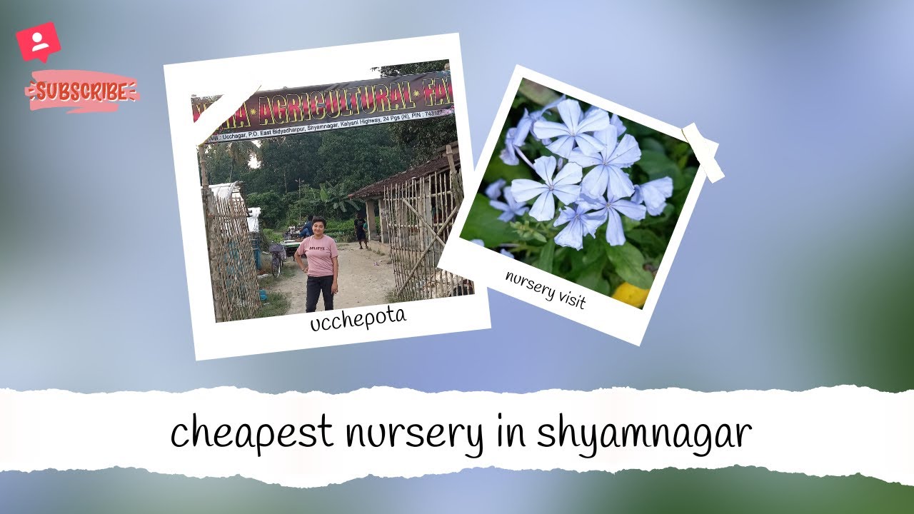Santra Agriculture Farm I Shyamnagar - YouTube