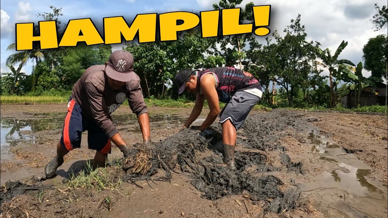 PAGPAPAKAIN NG MGA BIBE + PAGHAHAMPIL SA PALAYAN | BURDZJASON - YouTube