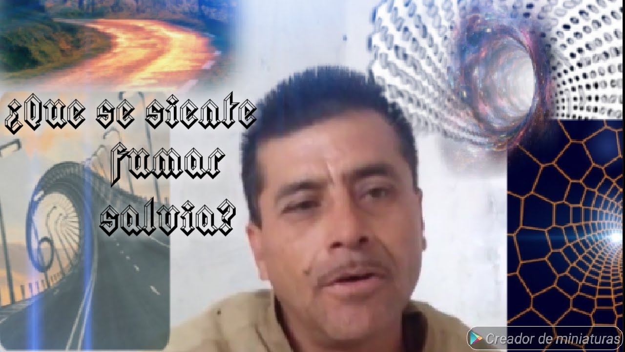 ¿Que se siente? Fumar Salvia Divinorum - YouTube