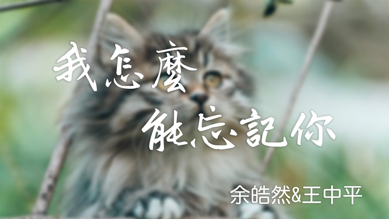 『經典懷舊』余皓然&王中平-我怎麼能忘記你(WO ZEN ME NENG WANG JI NI)【再叮嚀一句多珍重，擁抱我 記得我。】#華語 ...