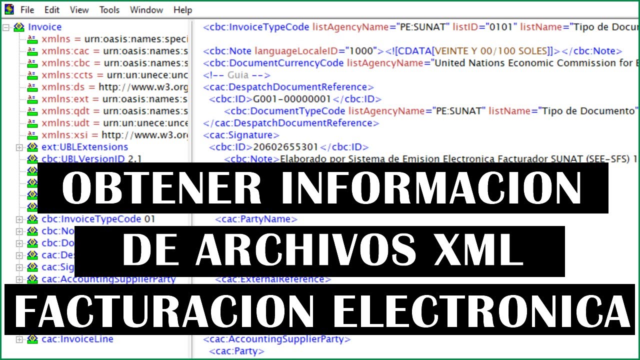Lector XML Facturacion electronica SUNAT | Obtener información de XML - YouTube