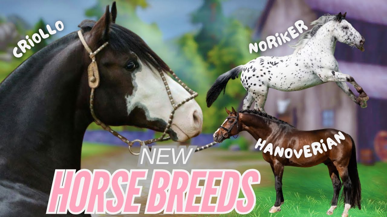 everything to know about the 3 new breeds coming to Star Stable! SSO ...