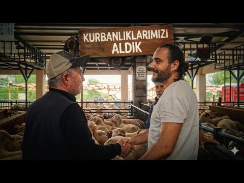 BURSA PANAYIR KÜÇÜKBAŞ. KURBANLIKLARIMIZI ALDIK.17.05.2026