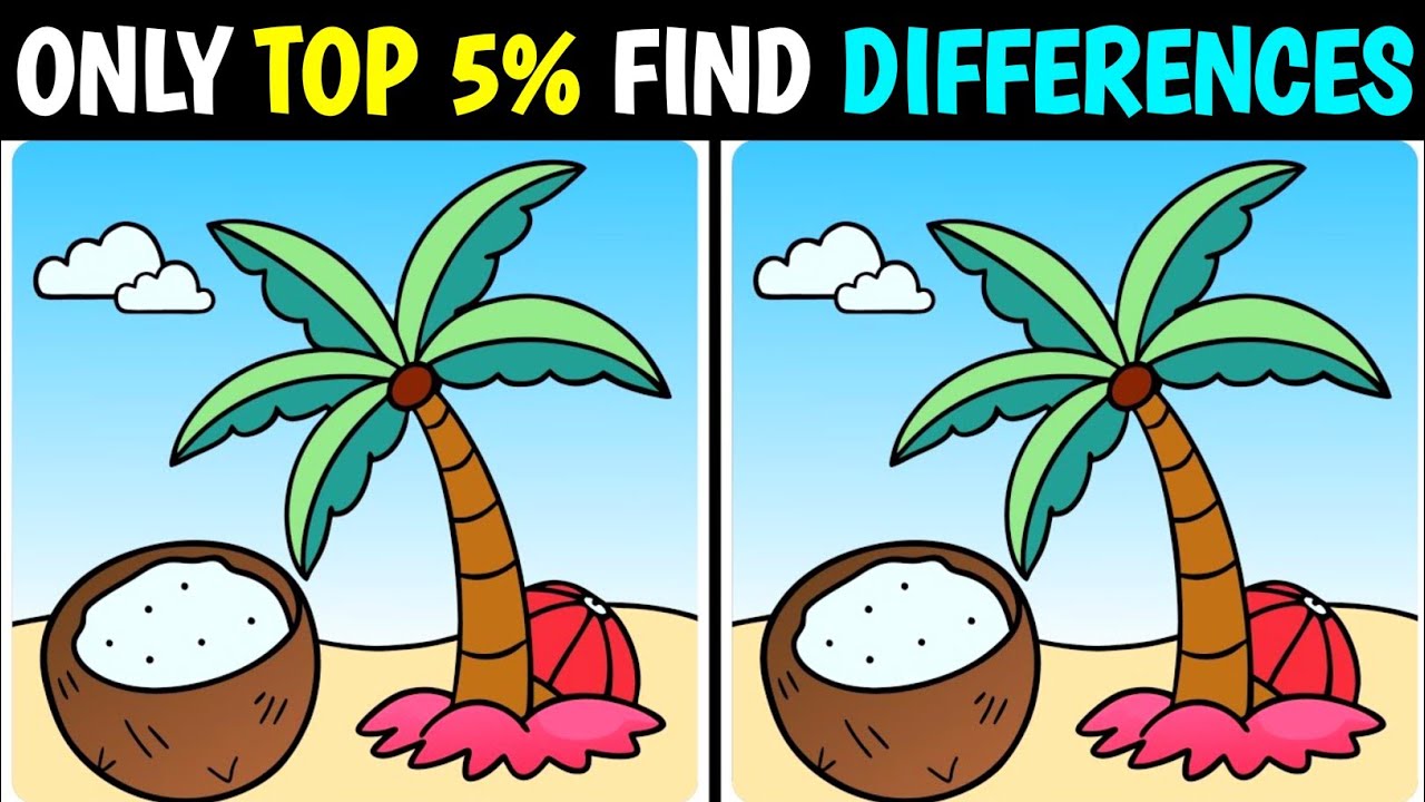 Spot The difference | Too Easy Too Hard Challenge | Find The 3 ...