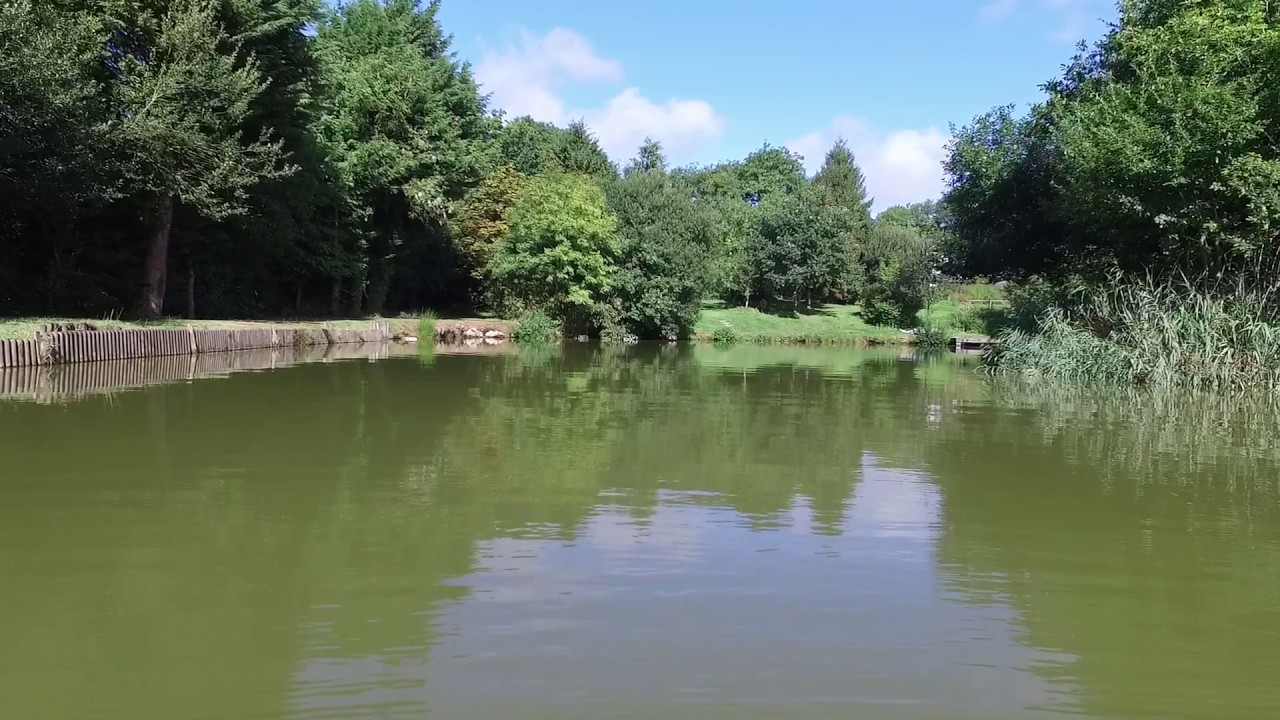 South Reed Farm - YouTube