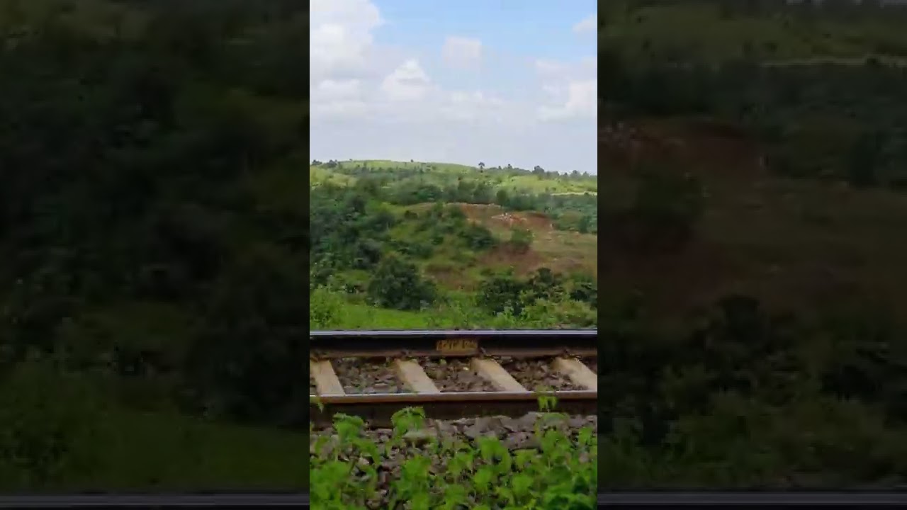 Amazing Greenery On The Side of Railway Track (Rail ke patari ke kinare ...