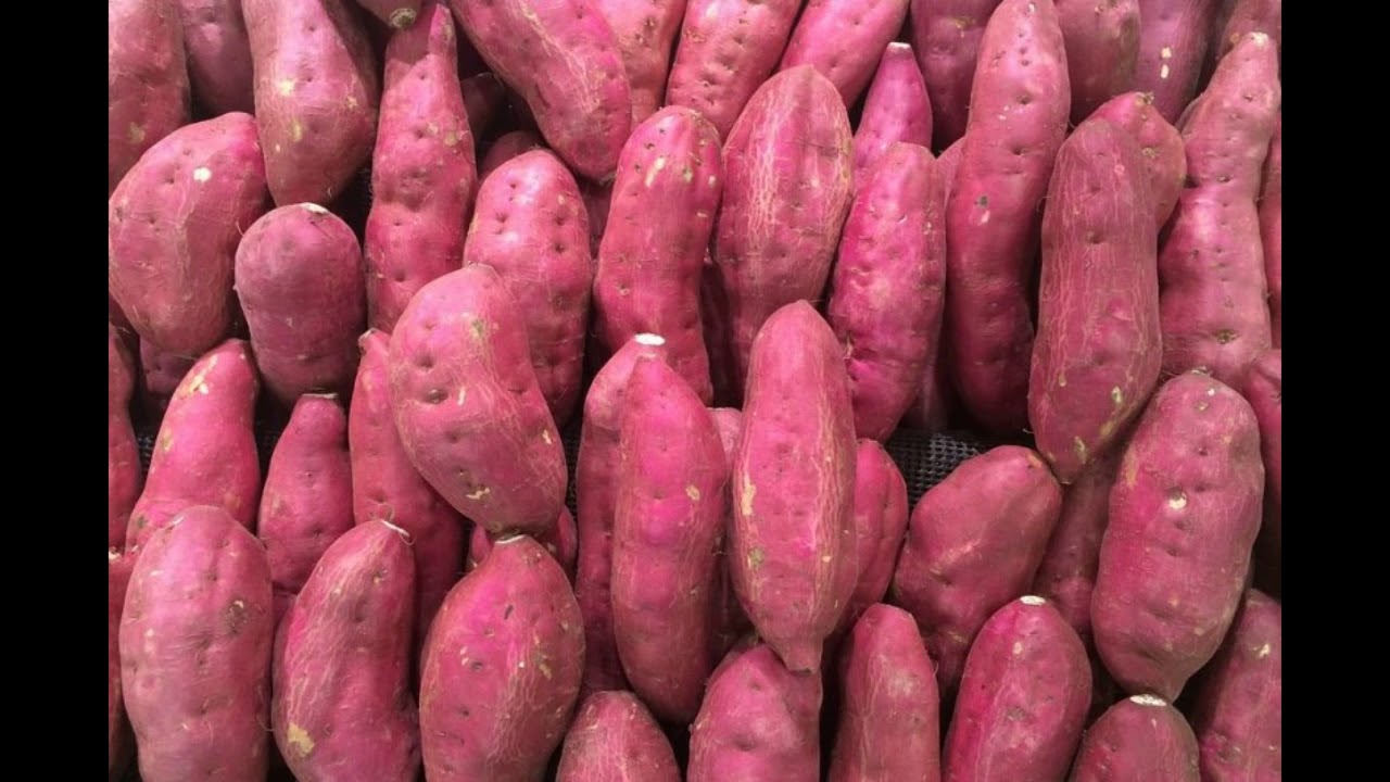 Bkill - Sweet Potato - YouTube