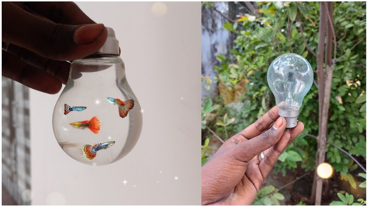 How To Make Fish Tank With Bulb|Bulb Aquarium|Alex Creations - YouTube